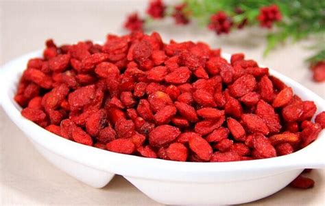 枸杞子的功效与作用