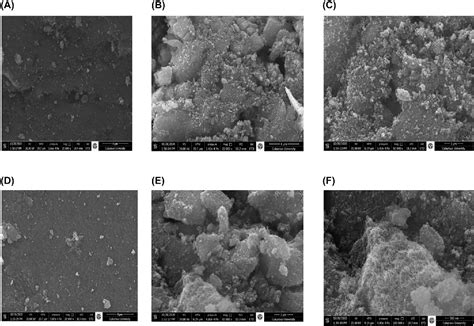 Figure 2 From Different Spacer Arm Attached Magnetic Nanoparticles For