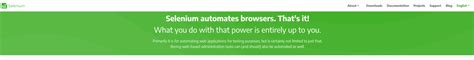 Master Selenium Cookie Management From Basic Operations To Advanced