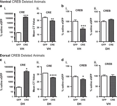 Cre Recombinase And Creb Camp Responsive Element Binding Protein Mrna Download Scientific