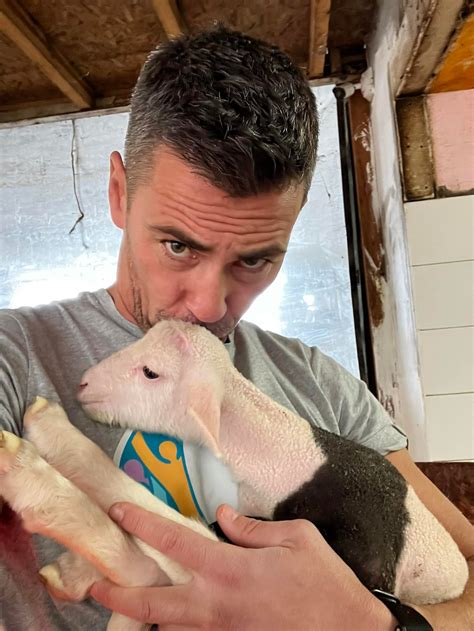 Обичам животните Не мога да ги Ферма Шопар Бик и Щука