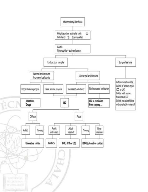 Intestinal Inflammatory Disease Algorithm Docx