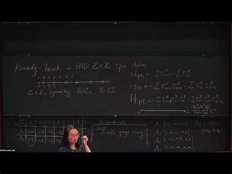 Free Video Duality In The Symmetry Topological Field Theory Framework
