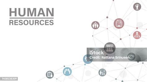 인적 자원 또는 Hr 및 채용 벡터 삽화 인사 고용과 관련된 아이콘이 있는 개념 경영자에 대한 스톡 벡터 아트 및 기타 이미지 경영자 고객 기회 Istock