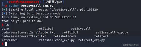 Pwn入门（3）：缓冲区溢出rop攻击（ret2syscallret2libc）pwn二进制溢出 Csdn博客