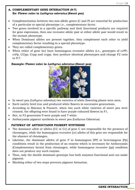 2 Gene Interaction Complementary Pdf
