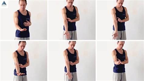 How To Fix Elbow Pain Fast 4 Unique Exercises Precision Movement