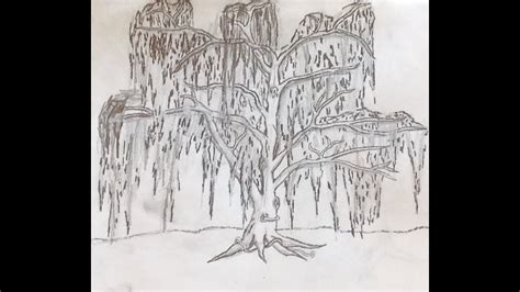 How To Draw A Weeping Willow Tree Machinebishop Triptoli