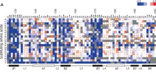 Functional Genomics Wikiwand