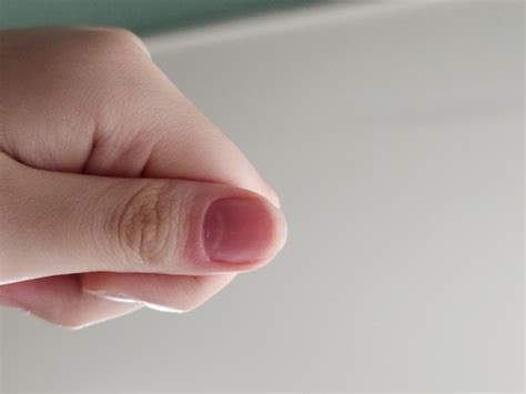중3이고 네일 연습하는데자격증x 지식in