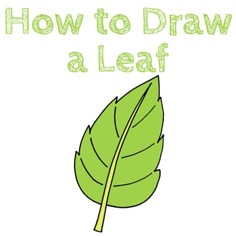 How To Draw A Leaf How To Draw Easy