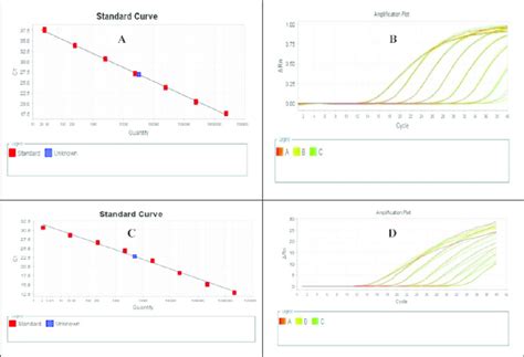 Standard Curve And Amplification Plot Of 10 Fold Series Dilution For