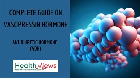 Complete Guide On Vasopressin Hormone Antidiuretic Hormone