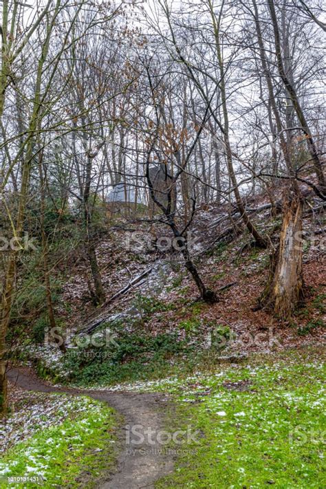 녹색 잔디와 배경에 눈의 흔적이있는 벌거 벗은 나무가있는 언덕 사이의 좁은 구불 구불 한 길 0명에 대한 스톡 사진 및 기타 이미지 Istock