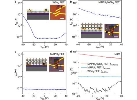 Doping Effects In Mapbi 3 Wse 2 Heterostructure A C Transfer Curves