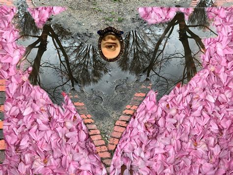 Swap The Position Of Two Objects In Powerpoint To Switch Location Swap Shapes In Powerpoint In