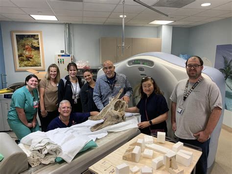 АНУ аас манай улсад 6 төрлийн үлэг гүрвэлийн 16 олдворыг хүлээлгэн өглөө