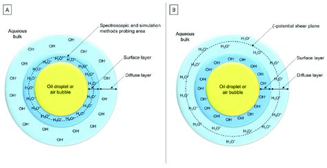 Schematic Representations Of The Two Main Hypotheses About Interfacial