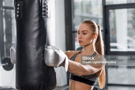 매력적인 체육 복 서 체육관에 샌드 백을 들고 권투 글러브에 대한 스톡 사진 및 기타 이미지 권투 글러브 권투 선수 권투