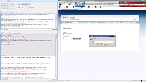 xss reflected cross site scripting cwe 79 capec 86 dork ghdb bhdb