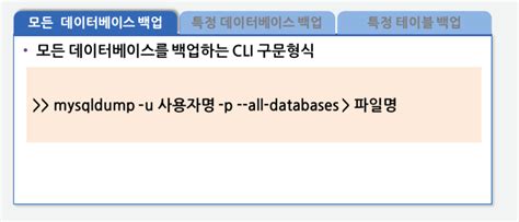 db구현 백업과 복원