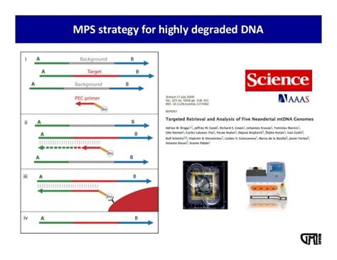 Massively Parallel Sequencing In Forensic Genetics
