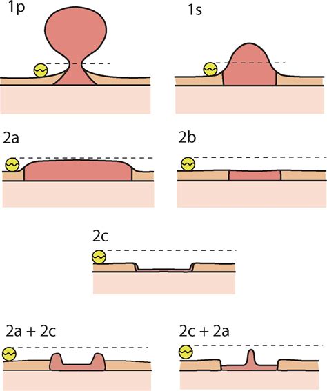 Optimal Clinical Gastroenterology And Hepatology