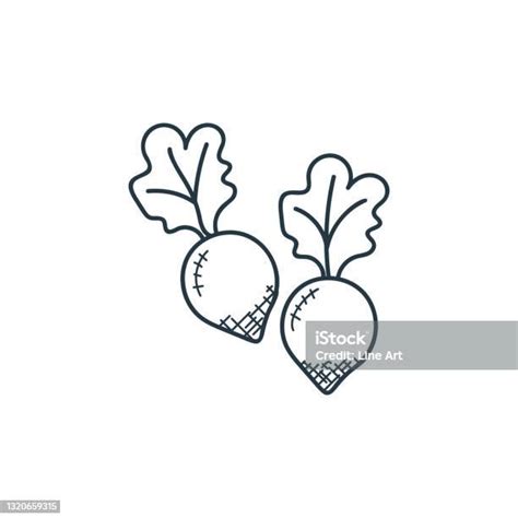 음식 손으로 그린 개념에서 순무 아이콘 벡터 순무 편집 가능한 스트로크의 얇은 선 그림입니다 웹 및 모바일 앱 로고 인쇄 미디어에 사용하기 위한 순무 선형 기호 가지 채소에