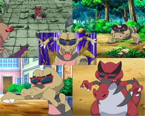 Krokorok Sunglasses Ashs Krookodile Pokémon Wiki Fandom