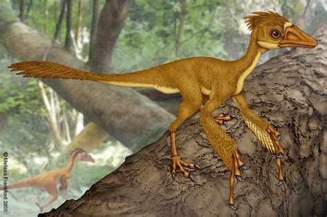 Epidendrosaurus By Mmfrankford On Deviantart