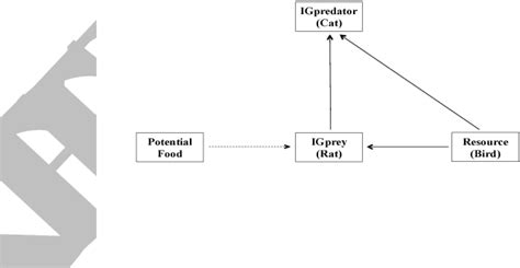 Figure 1 From Adaptive Evolution Of Foraging Related Trait In Intraguild Predation System