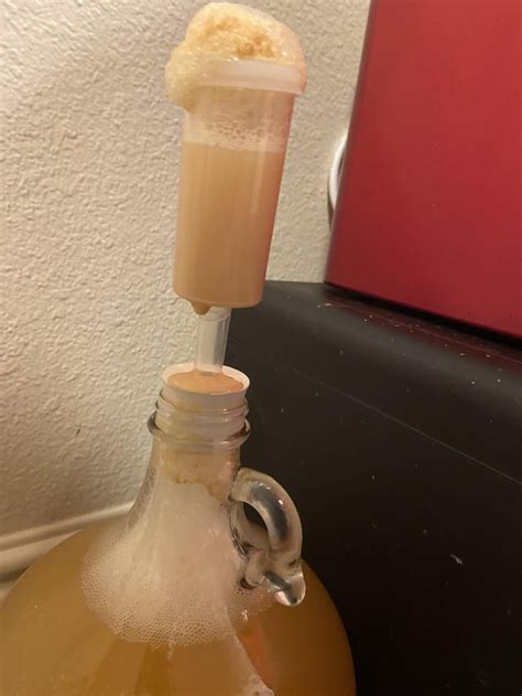 it s alive r cider