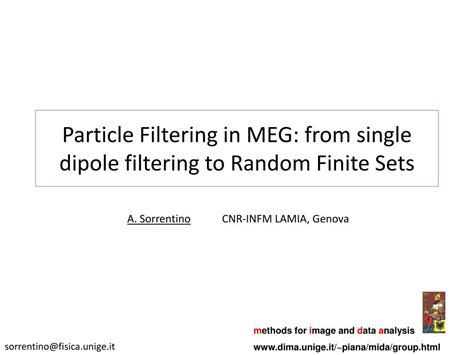 Ppt Particle Filtering In Meg From Single Dipole Filtering To Random