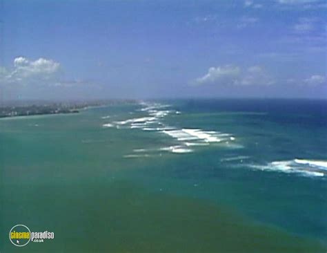 Cinema Paradiso 4k Blu Ray Blu Ray And Dvd Rental Service