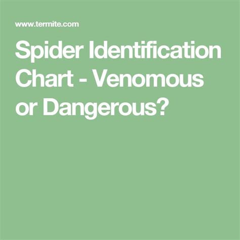 Spider Identification Chart Venomous Or Dangerous Spider