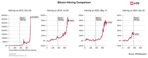 Bitcoin Halving What To Expect Poland Insight