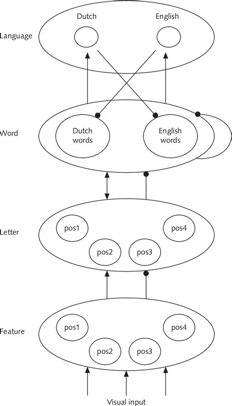 Figure 51 From Cognitive Processes In Second Language Learners And