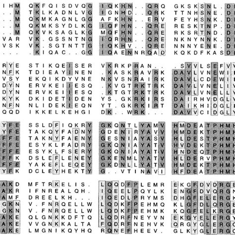 sequence alignment of the putative pre protein with pre proteins from