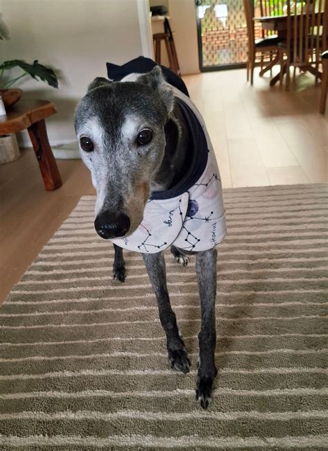 Maxcine We Will Miss You Profoundly Its Always Challenging To Part