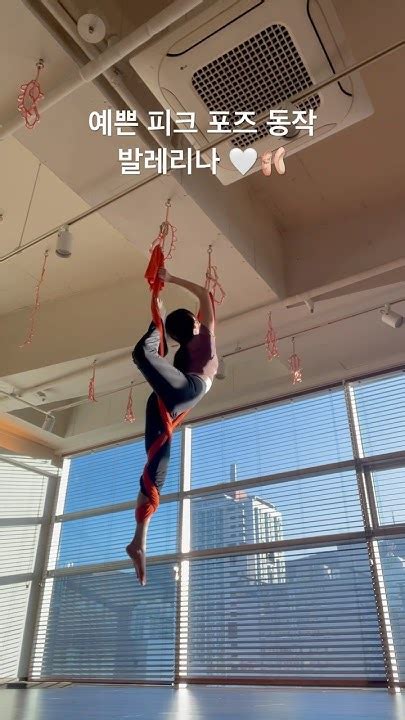 플라잉요가키즈플라잉요가 피크포즈요가강사브이로그 플라잉요가강사키즈플라잉요가 미하플라잉선생님 시퀀스🩰 Youtube