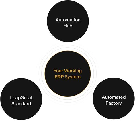 Platform Saas Platform For Automating Sap Erp Implementations