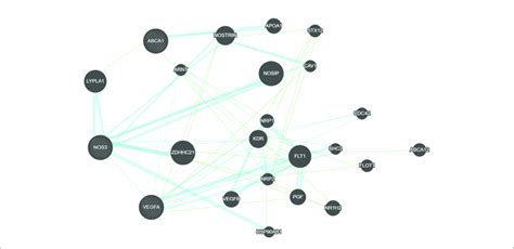 Constructed Interaction Networks Including All The Genes Related To