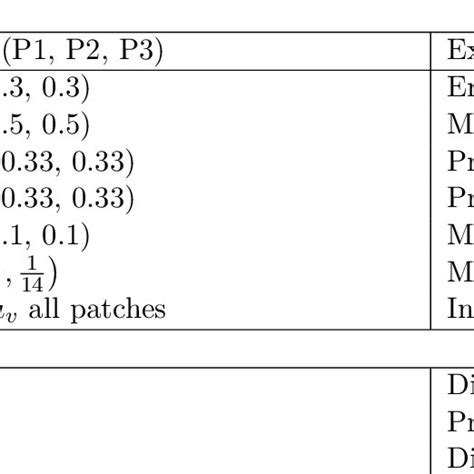 Patch Parameters The Parameter Values Used For All Numerical