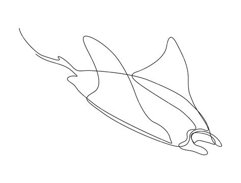 Premium Vector Continuous One Line Drawing Of Kangaroo Simple Illustration Of Standing