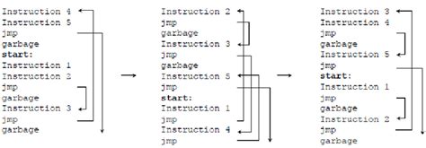Code Transposition In Zperm Virus Download Scientific Diagram