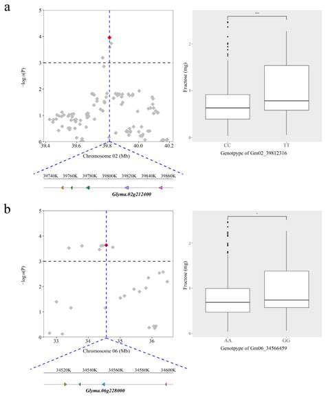 Genome Wide Detection Of Quantitative Trait Loci And Prediction Of