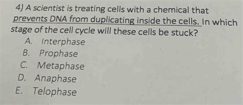Solved 4 A Scientist Is Treating Cells With A Chemical That Prevents