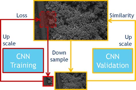 Similarity Maximization Framework The Left Part Shows Training Of The Download Scientific