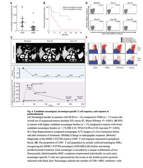 Fig 1 Nonsynonymous Mutation Burden Associated With