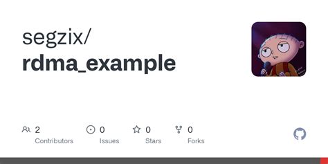 github segzix rdma example